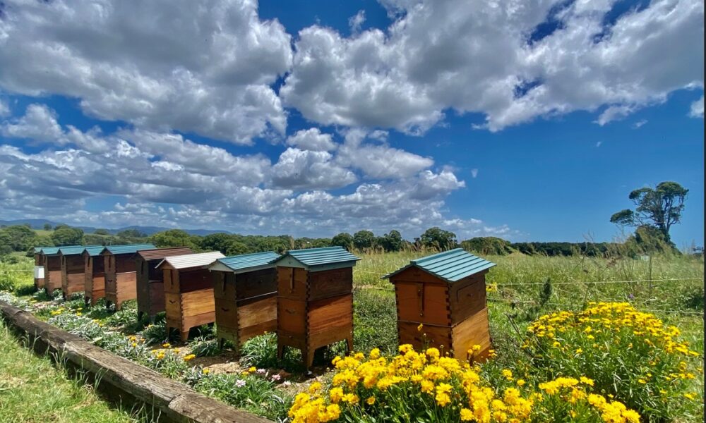 Home - Motivational News | Inspirational Stories| Inspiring Stories